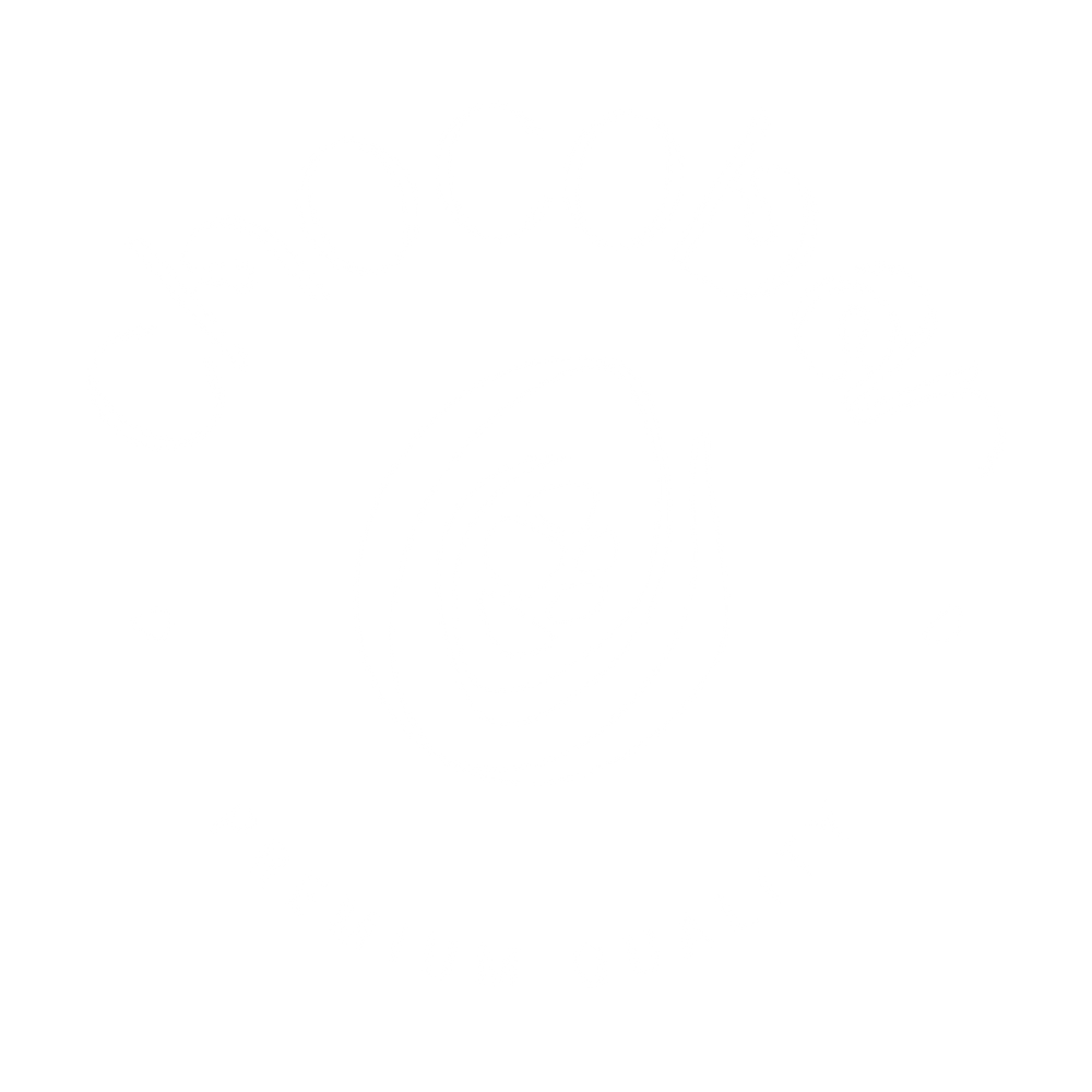 Corporate Gifting & Multi-Box Ordering - Chocobar